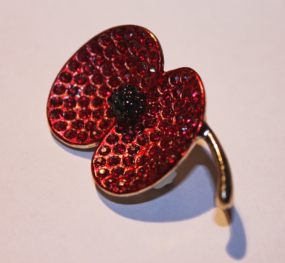 Sparkly Poppy | sarahhallett | Blipfoto