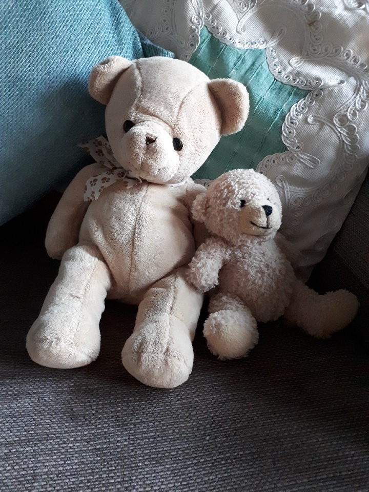 Teddy Tuesday | mintlawquine | Blipfoto