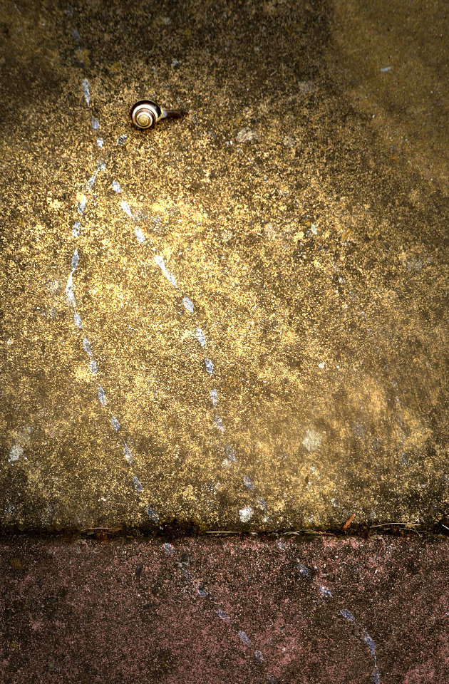 There & Back Again | PicturePoems | Blipfoto