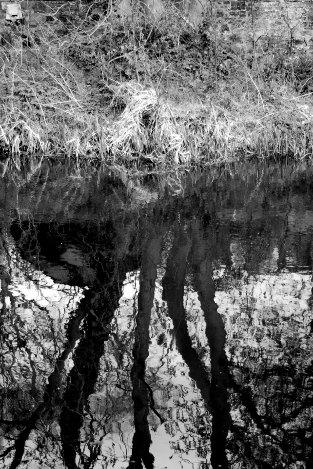 Chair | middleman | Blipfoto