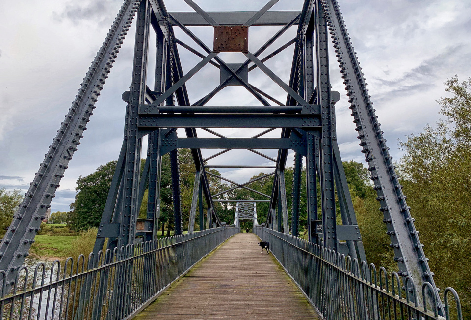 A walk in Rickerby Park,... | marpaul | Blipfoto