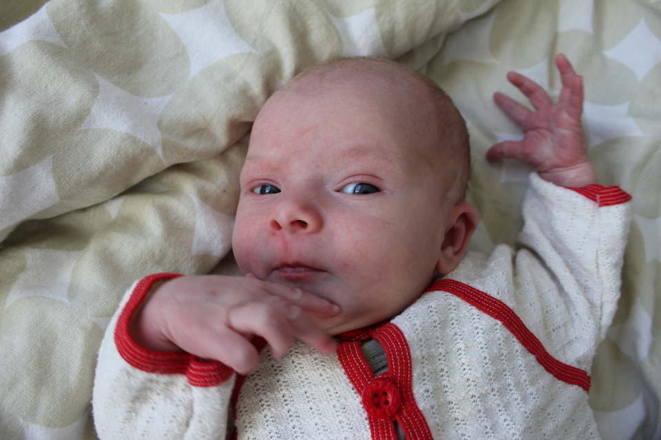 One week - Congratulations Little O | MissRAble | Blipfoto