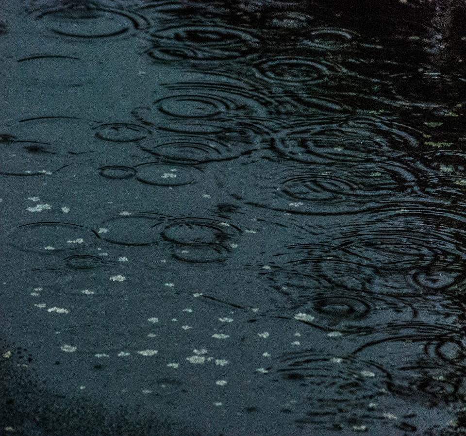 Rain Rings | Quigs | Blipfoto