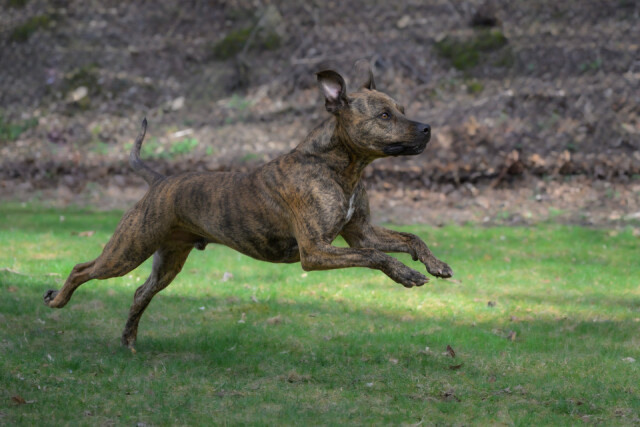 Airborn! | dbifulco | Blipfoto