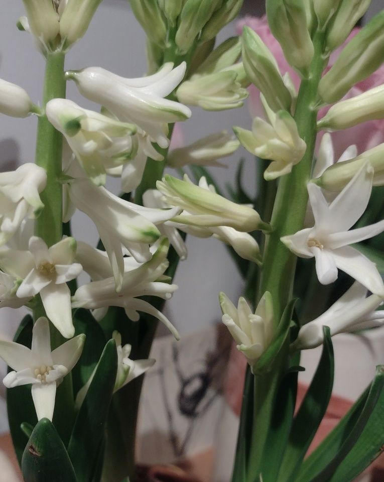 Decision made | JudyD | Blipfoto