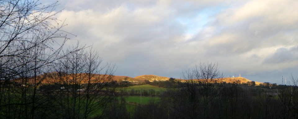 Brief sunburst | rat | Blipfoto