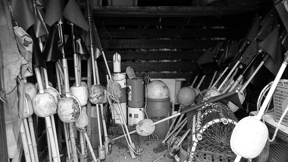 A Keek inside a Fisherman's Shed | Apothecary7 | Blipfoto