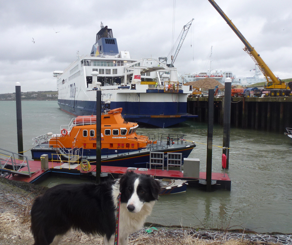 Falmouth Lifeboat Station | TrixieTheCollie | Blipfoto