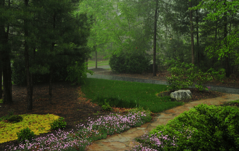 Raining in My Front Yard | SherryK | Blipfoto