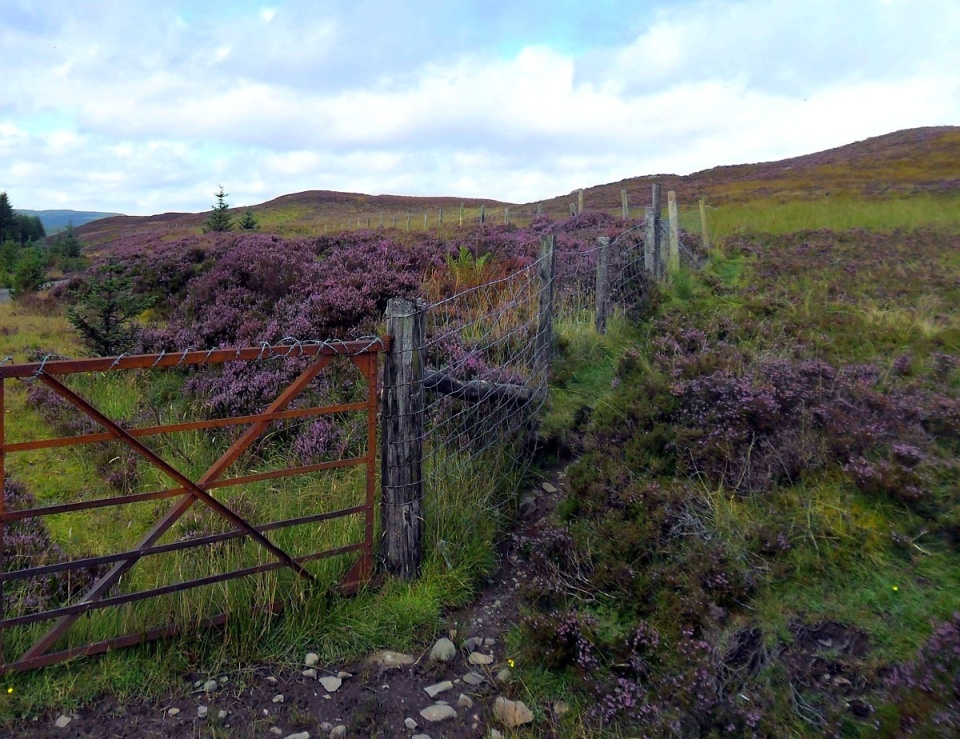 Heather Moor | Skyegirl | Blipfoto