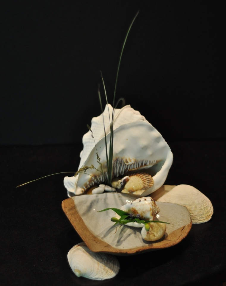 The Hermit Crab, Poetry in Bloom | justbe | Blipfoto