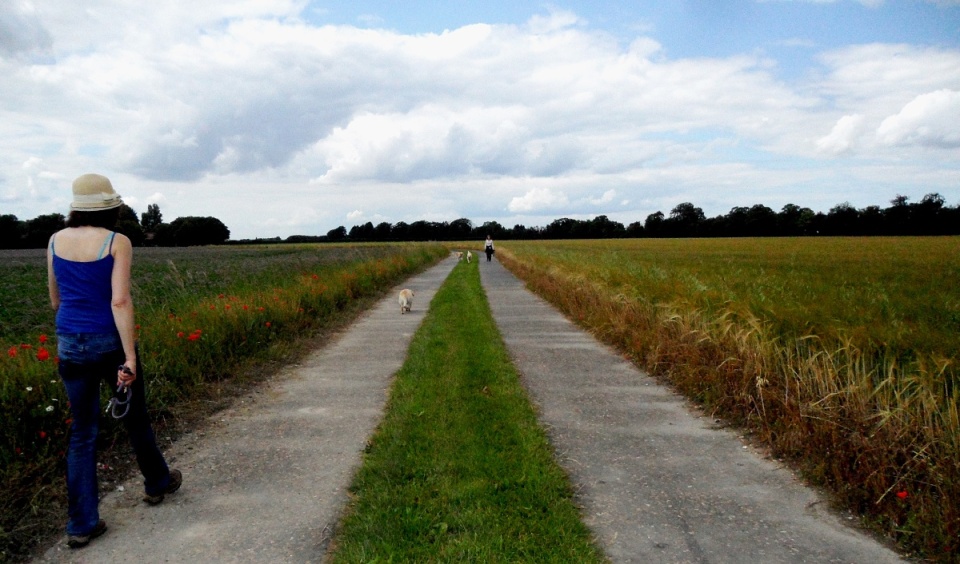 Walking in the fields ! | lucia13 | Blipfoto
