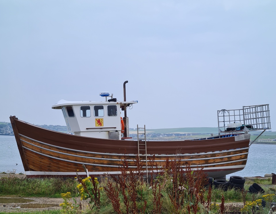 DAWN TREADER | EllyJay | Blipfoto