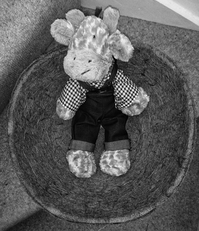 MonoMonday Sphere or ovoid | HelenJG | Blipfoto