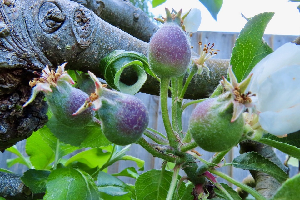 No photos | Jaybay | Blipfoto