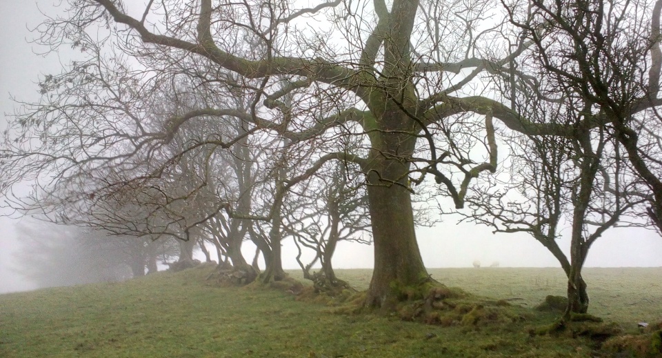 November mists. | Penally1 | Blipfoto