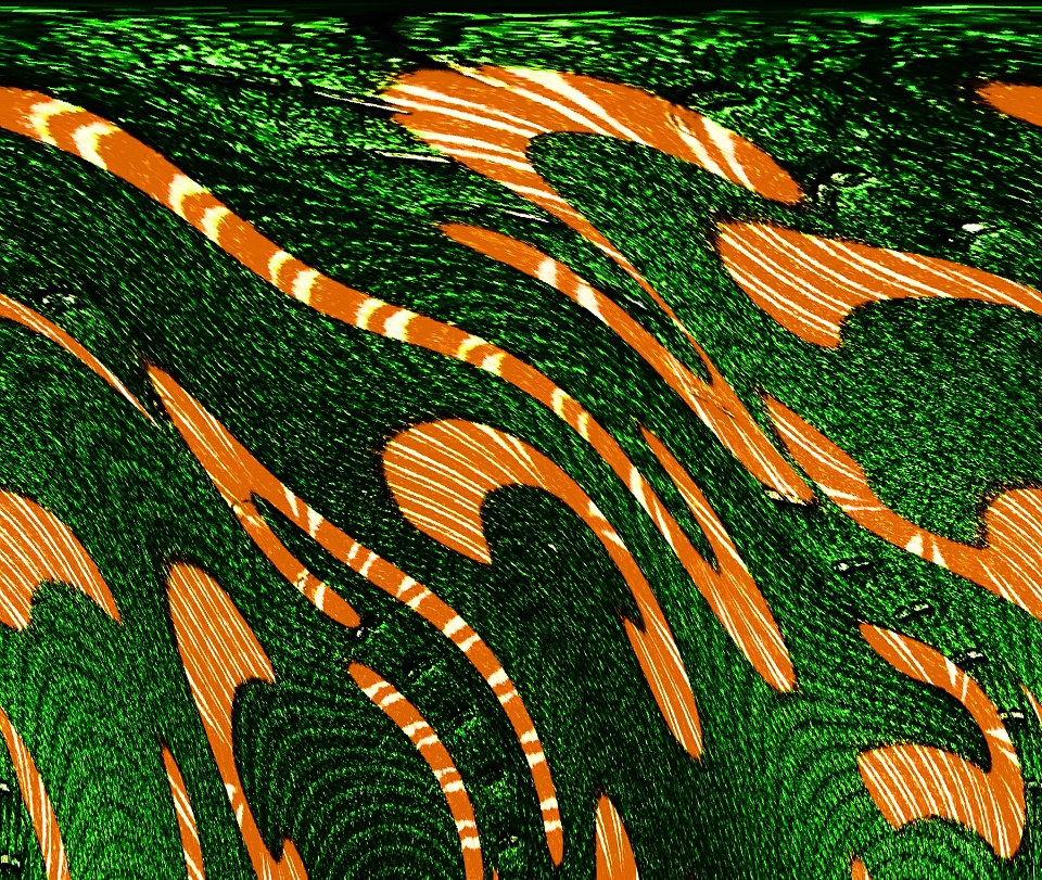 Swirling candy canes | Tigger101 | Blipfoto