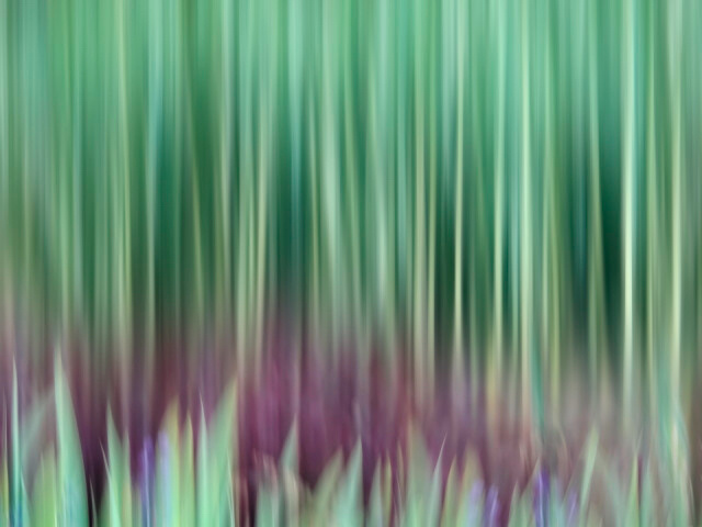 Moving | rainie | Blipfoto