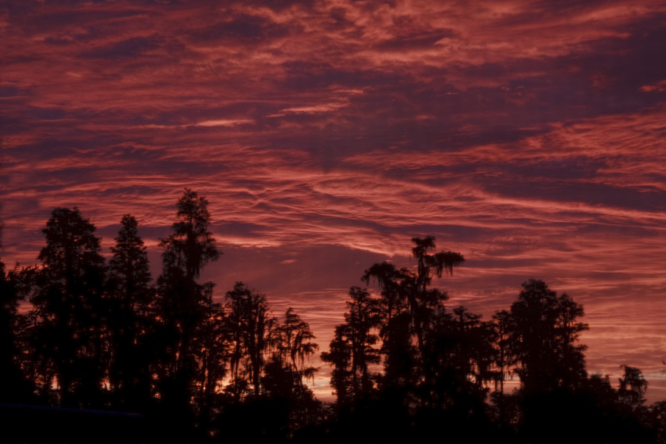 Super Sunrise | bugsman | Blipfoto