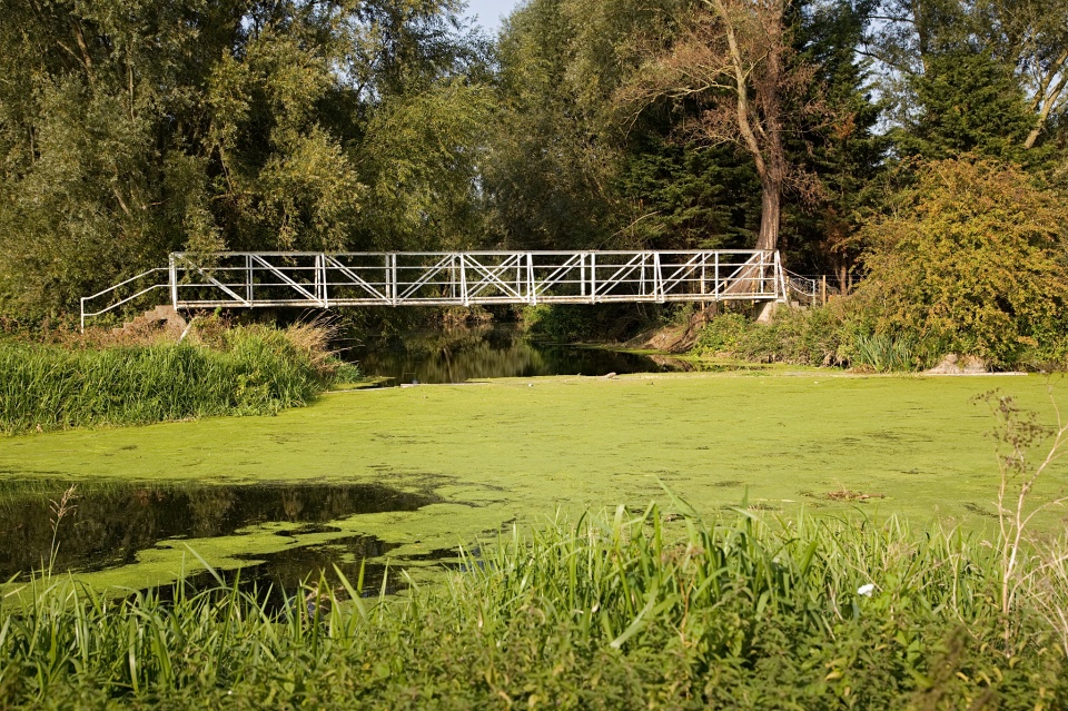 Bridge over the River Chelmer... | ninetofortytwo | Blipfoto