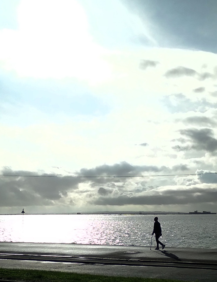 strolling on by.. | SteveCatruvI | Blipfoto