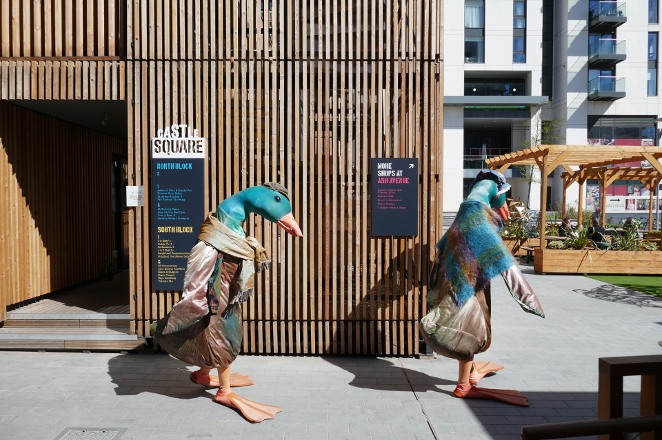 Ducks | duncan | Blipfoto