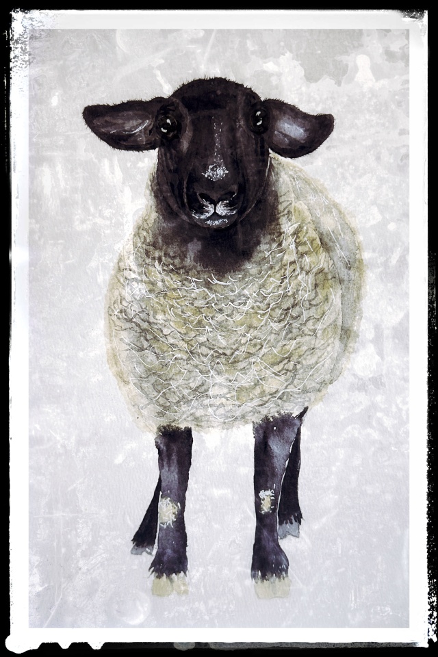 Cute little sheepie... | Damnonii | Blipfoto