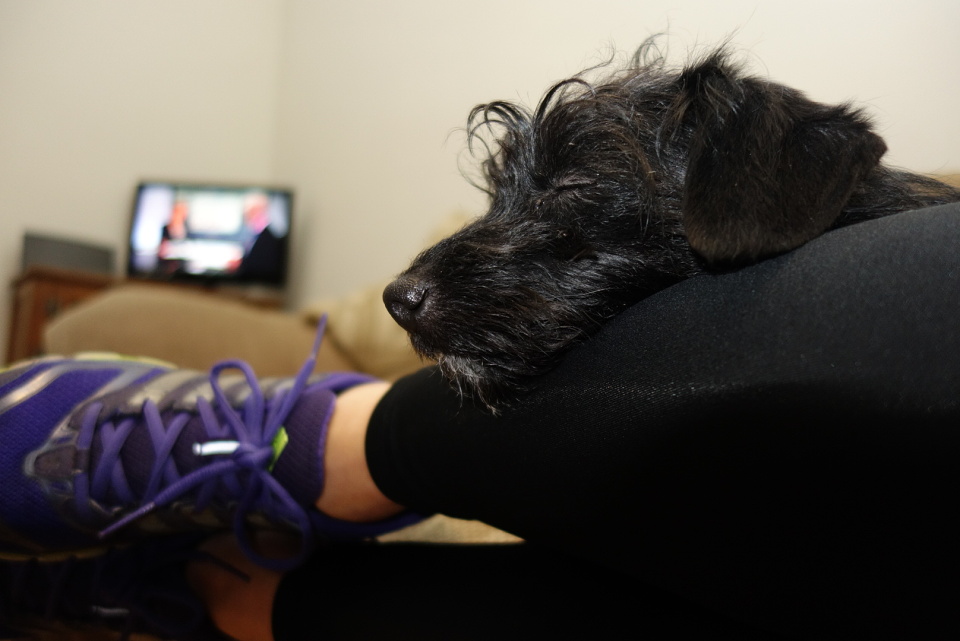 Bursting for a wee... | JustJane | Blipfoto