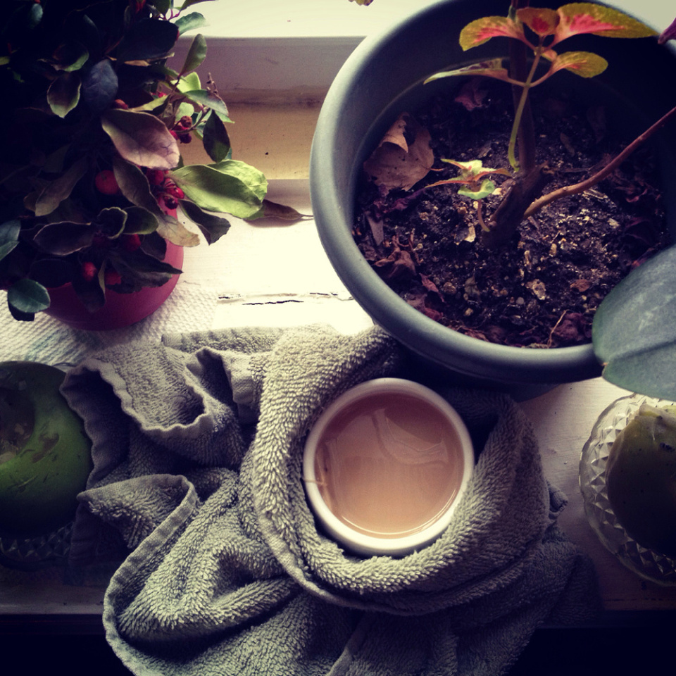 Comfy Tea | colormesanguine | Blipfoto