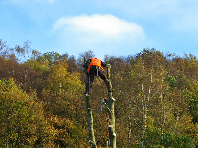 Man on stilts ? | VitalSparks | Blipfoto