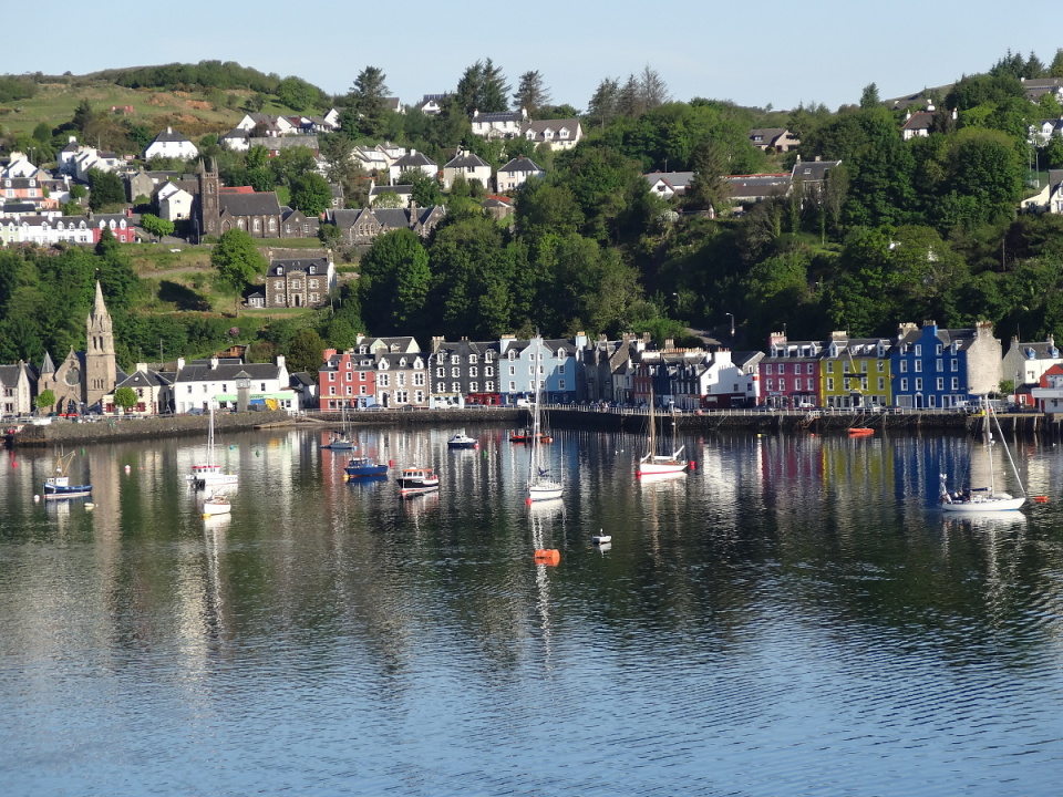 "What's the story, Balamory?" | TheWren | Blipfoto