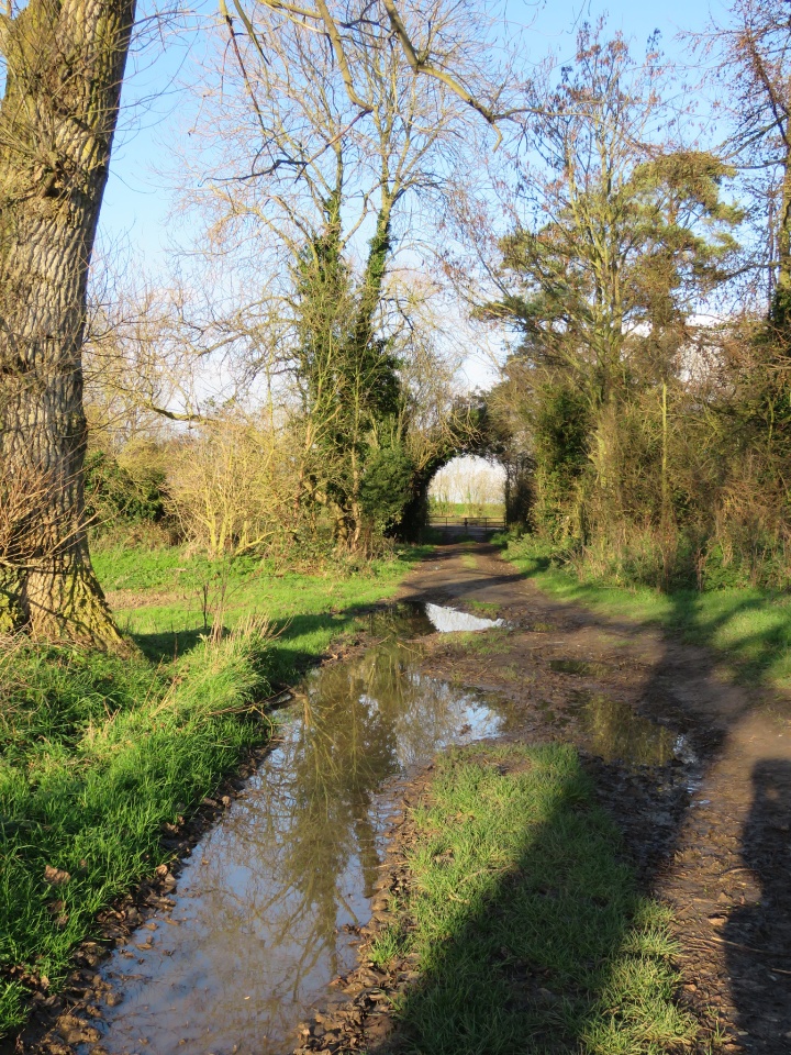 Burlingham Woods | Neatwithice | Blipfoto
