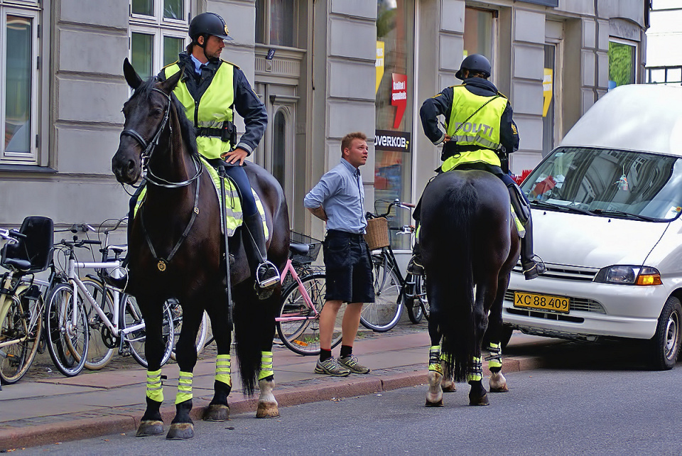 The Hoof Beat | RtCph | Blipfoto