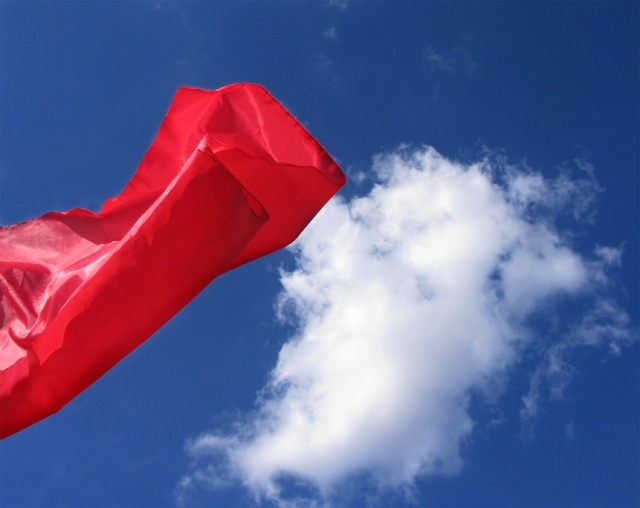 Freedom | MissRAble | Blipfoto