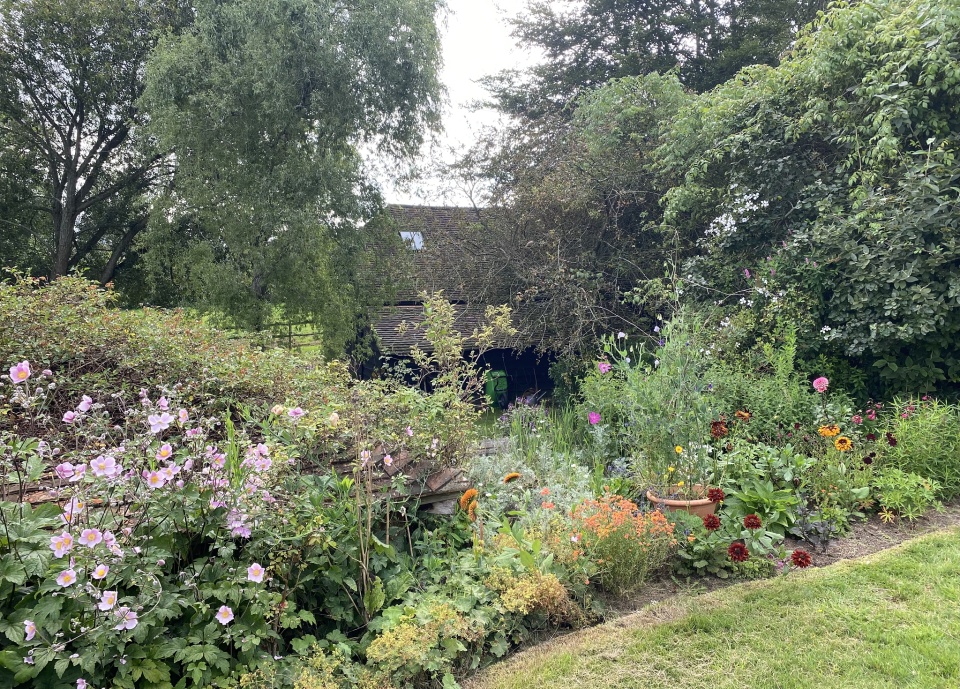 Tangled garden | KateH | Blipfoto