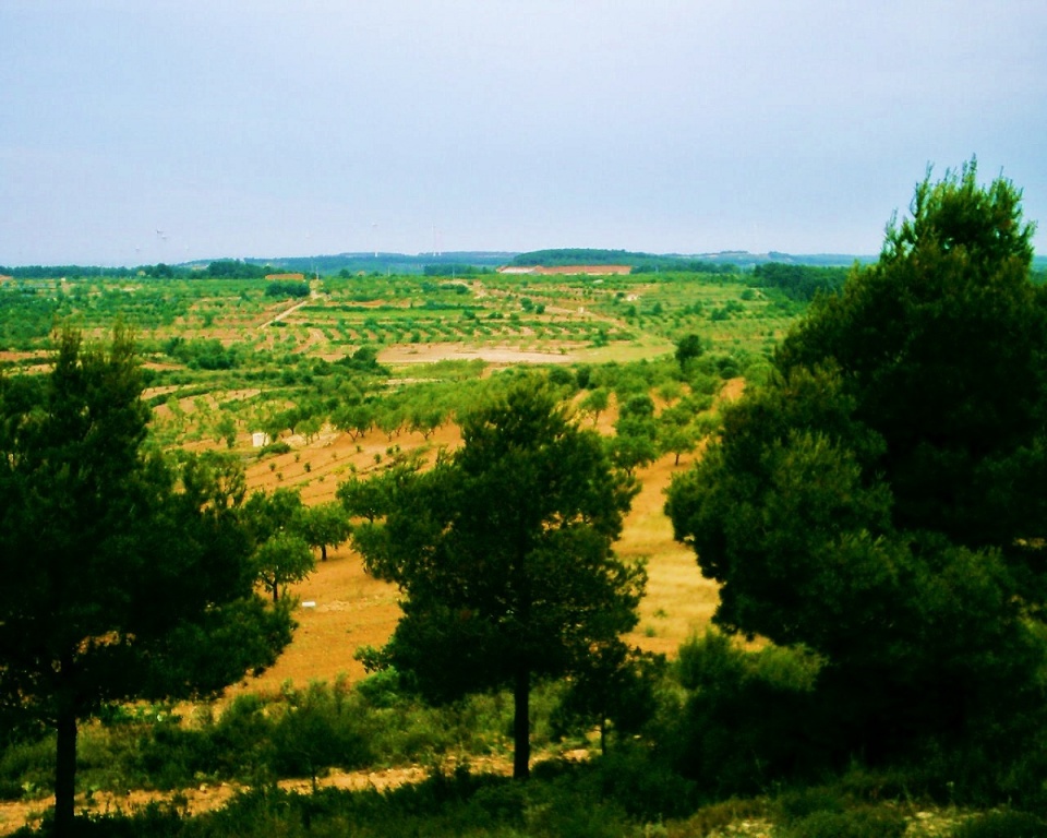 The view from the top... | Jamjar | Blipfoto