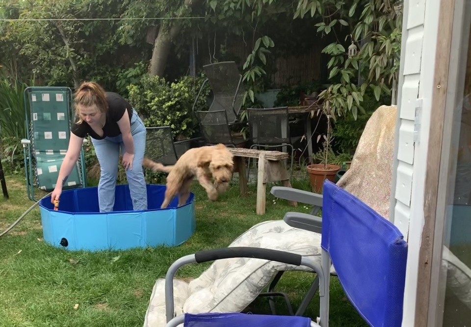 So you’ll sit in a smelly pond all day . . . | Stansway | Blipfoto