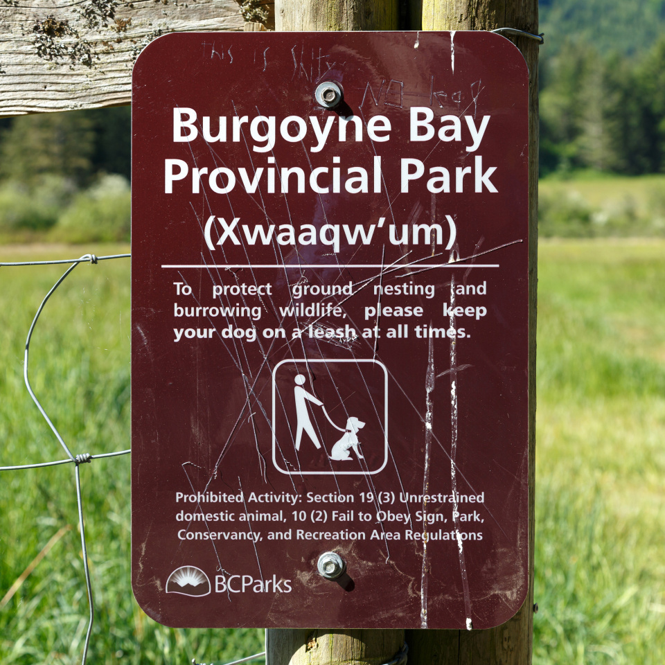 Scratched sign | Nanzy19 | Blipfoto