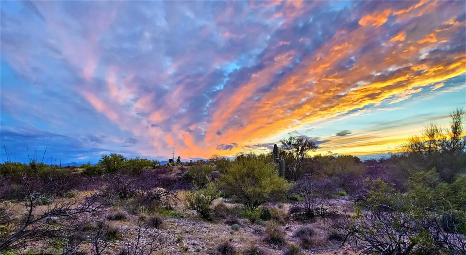 Sunset | laurie54 | Blipfoto