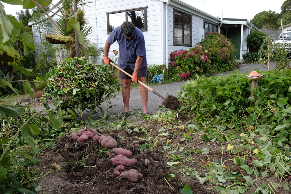 Running Through The Garden . . . Fleetwood Mac | V1k1 | Blipfoto