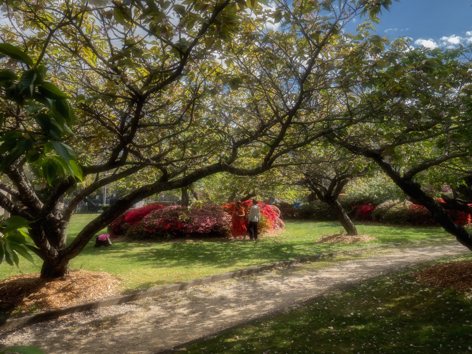 Spring | isbi | Blipfoto