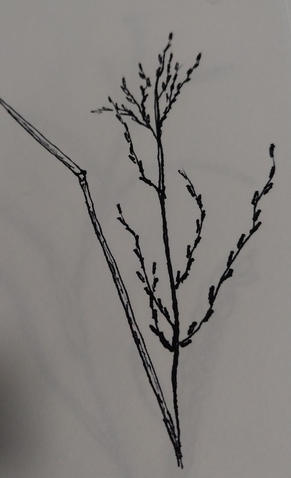 An EB! A pen drawing I... | Gritty | Blipfoto