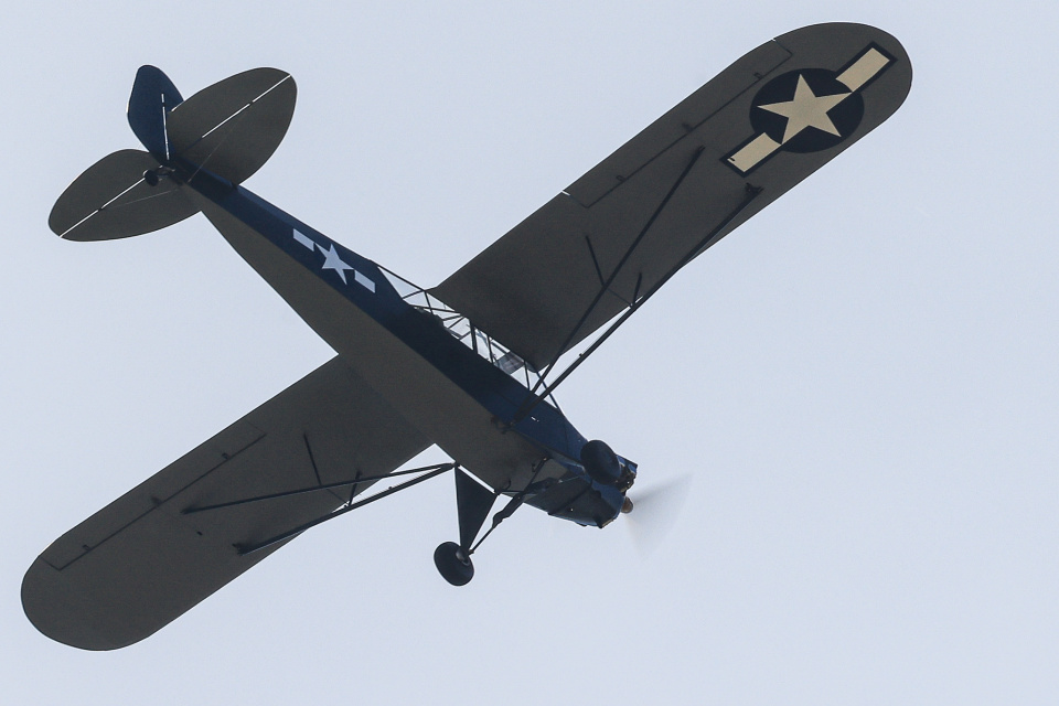 Cub And Copper | MsQuizzical | Blipfoto