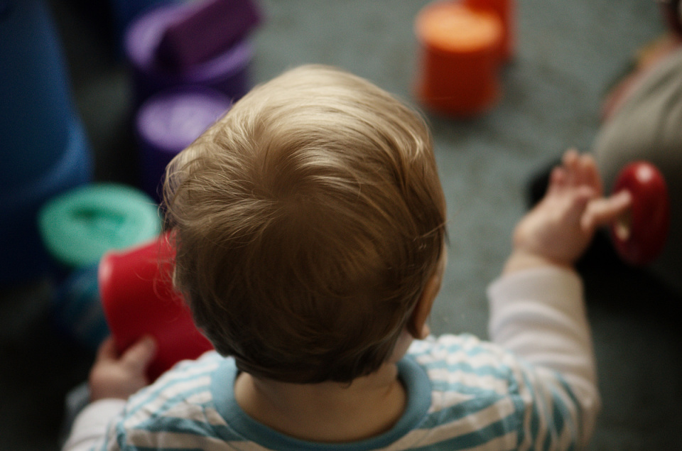 sorting capacity | wingpig | Blipfoto