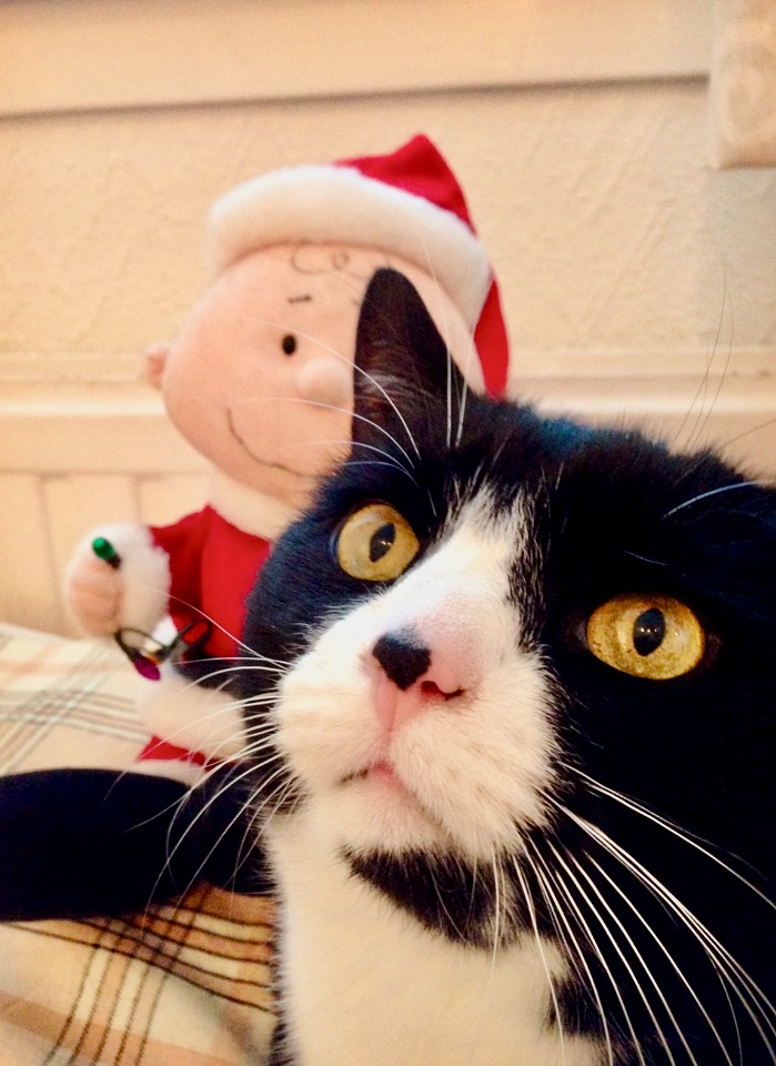 Emmy | edisteve | Blipfoto