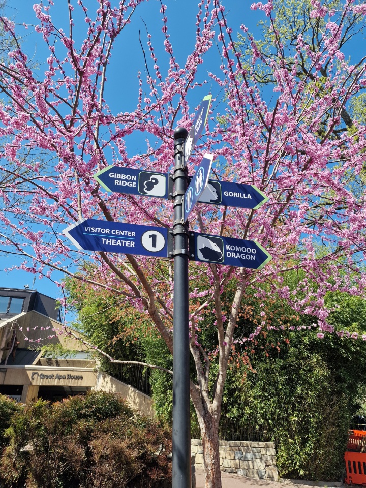 Wheeeeeeee | RP1 | Blipfoto