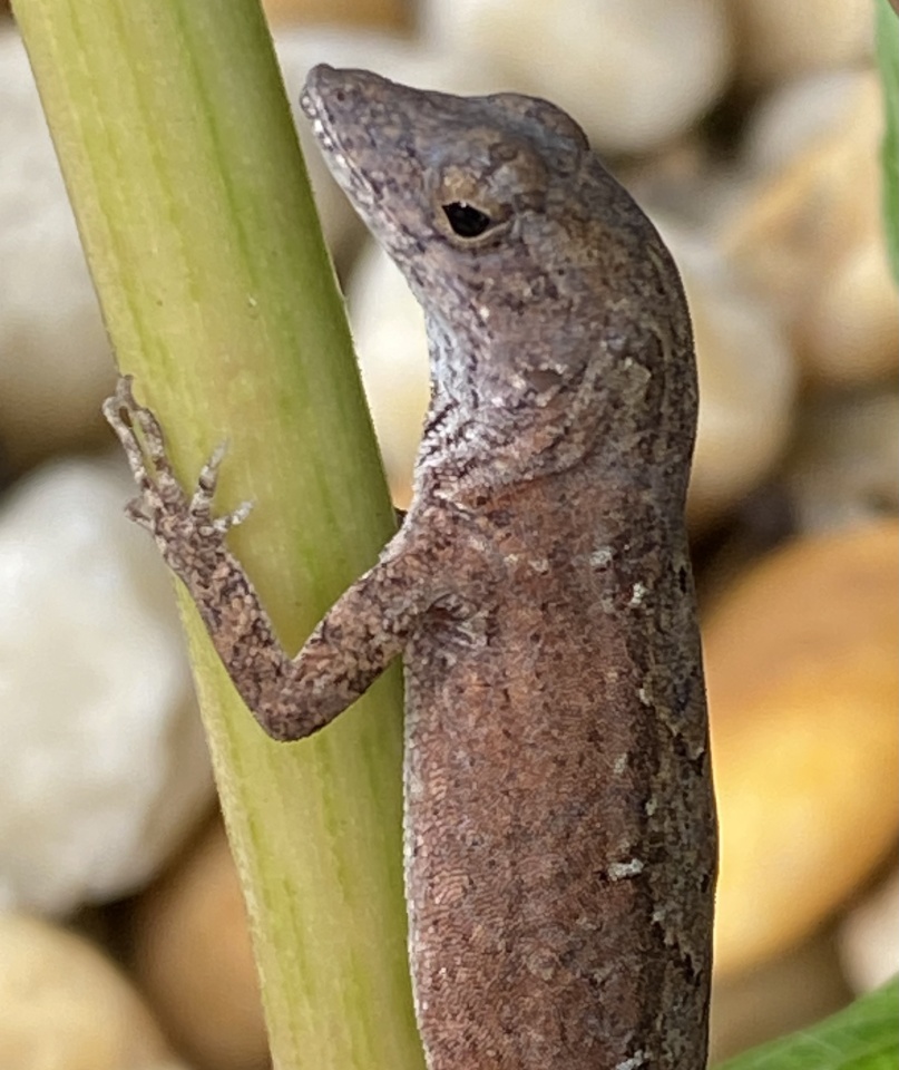 Holiday- Florida | Alison666 | Blipfoto