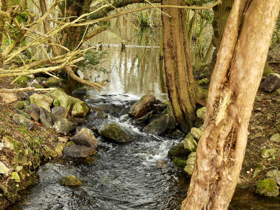 A watery Blip | Knottman2 | Blipfoto