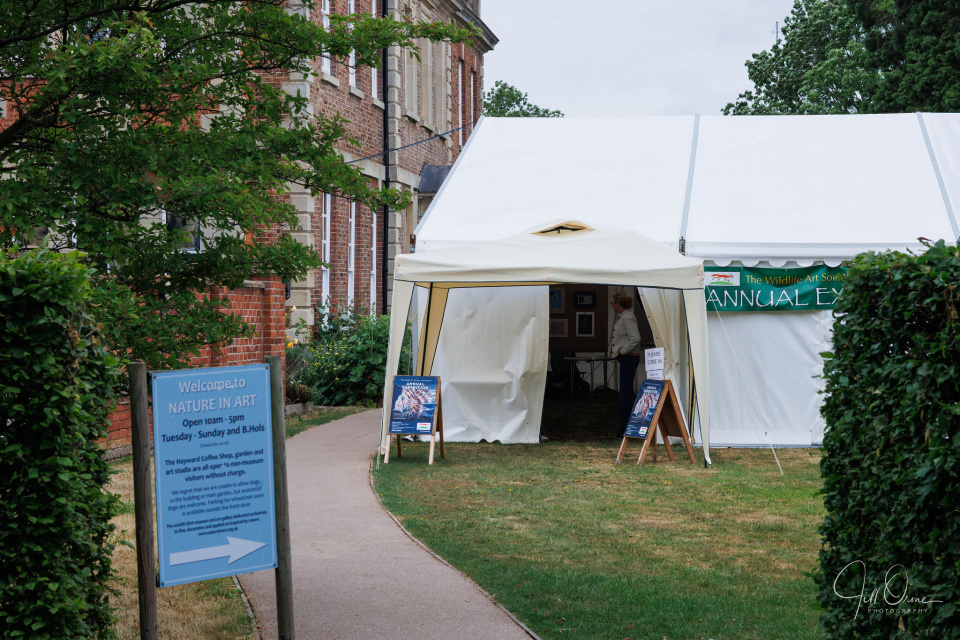 Judgemental | JDO | Blipfoto