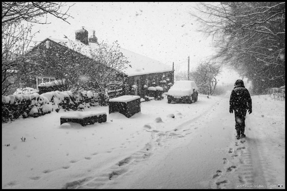 And still ... | RobinDown | Blipfoto